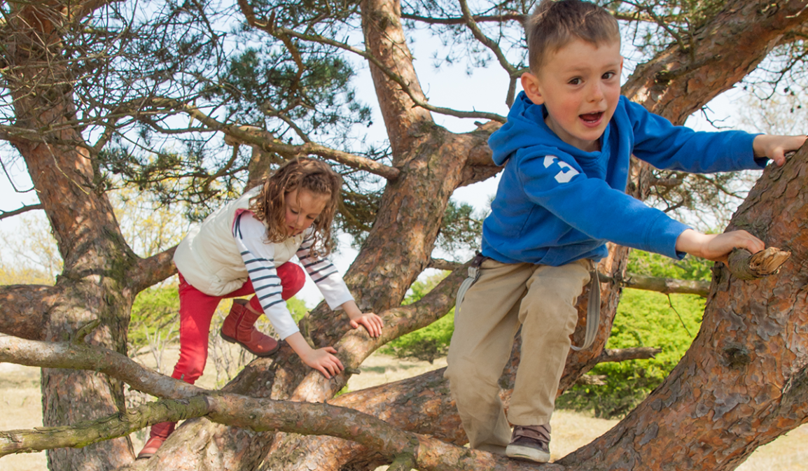Challenging Play - Commercial Playground Equipment
